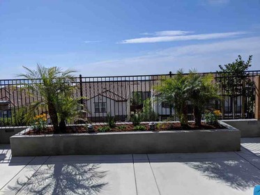 Bay Area Sustainable Landscaping Company | BAYSL