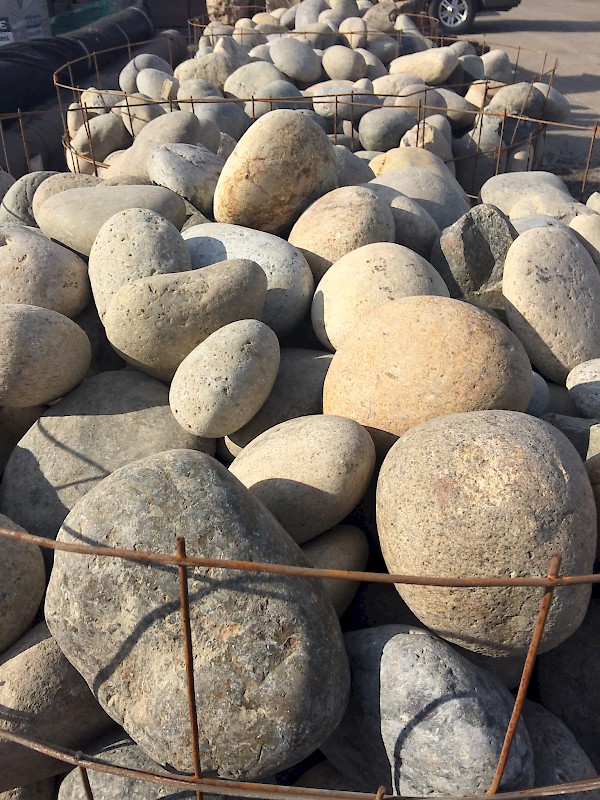 COBBLES - Bay Area Sustainable Landscaping