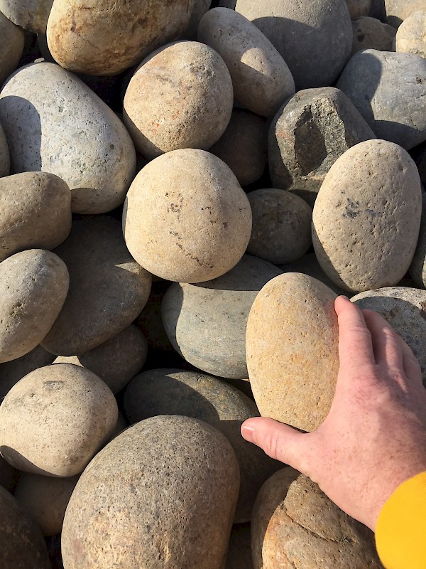 COBBLES - Bay Area Sustainable Landscaping